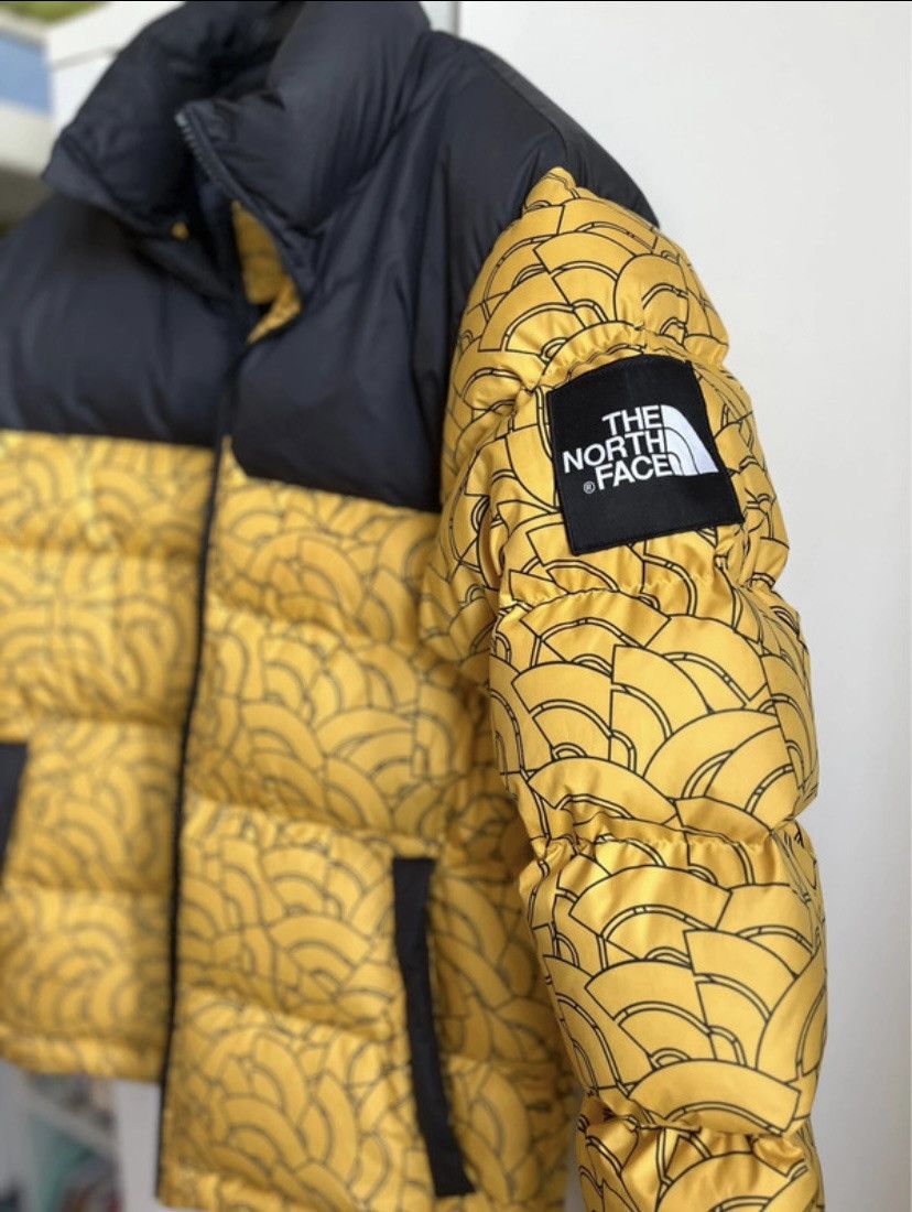 The North Face TNF Nuptse 700 rare cw | Grailed