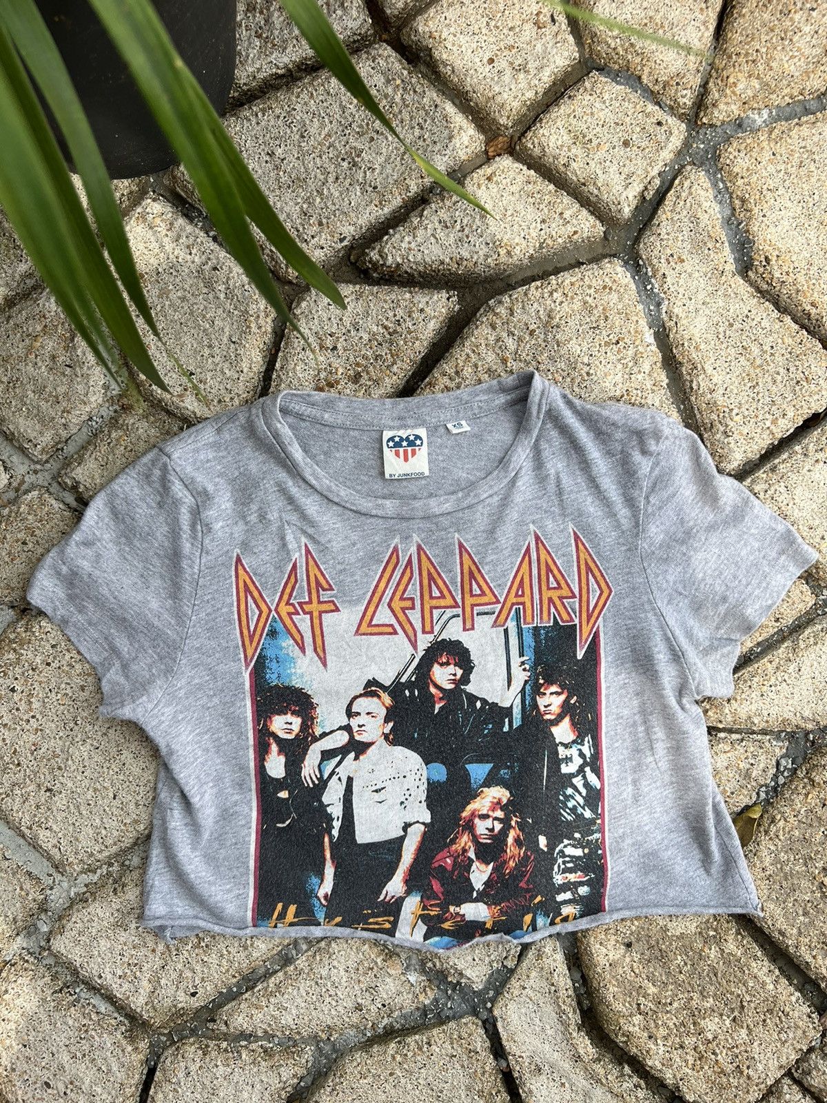 Junk Food 🔥Def Leppard by Junkfood Cropped Tees | Grailed