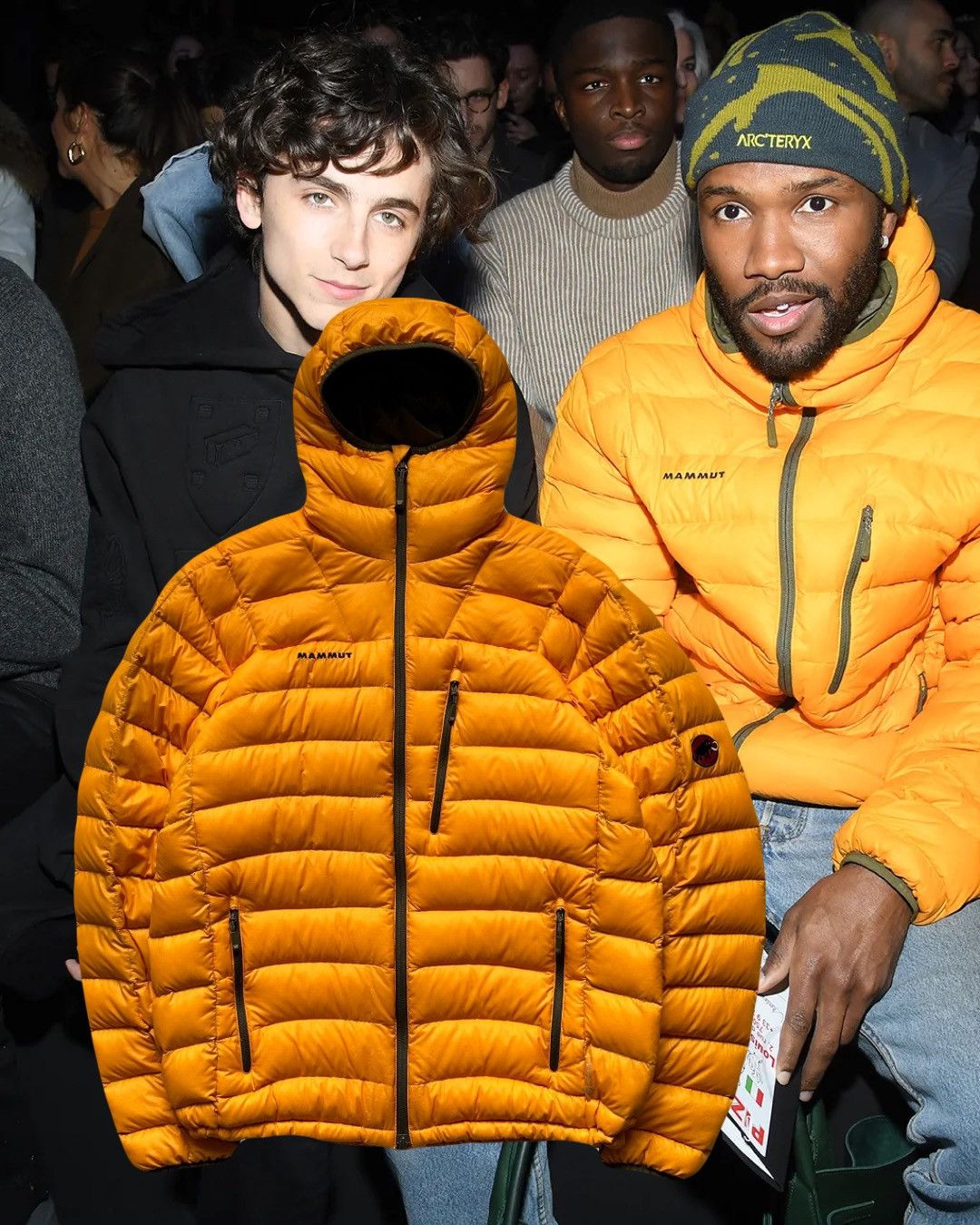 Frank Ocean × Mammut RARE Frank Ocean Mammut Down Jacket | Grailed