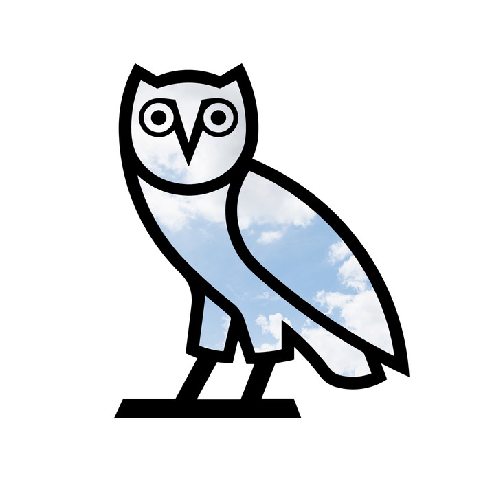 Custom Ovo Owl Drake Mirror | Grailed