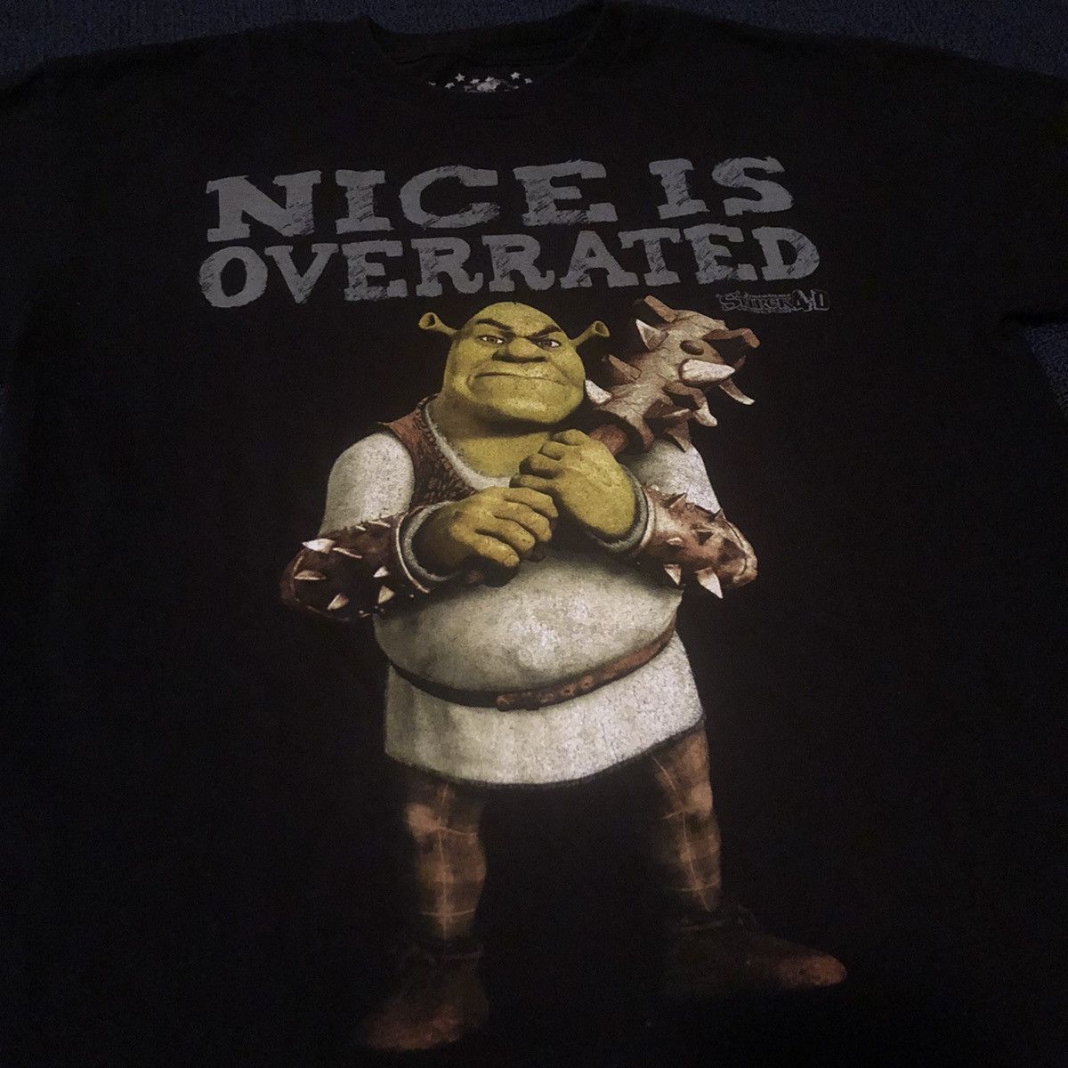 Vintage VTG Shrek 4D Universal Studios Nice Is Overrated Graphic Tee ...