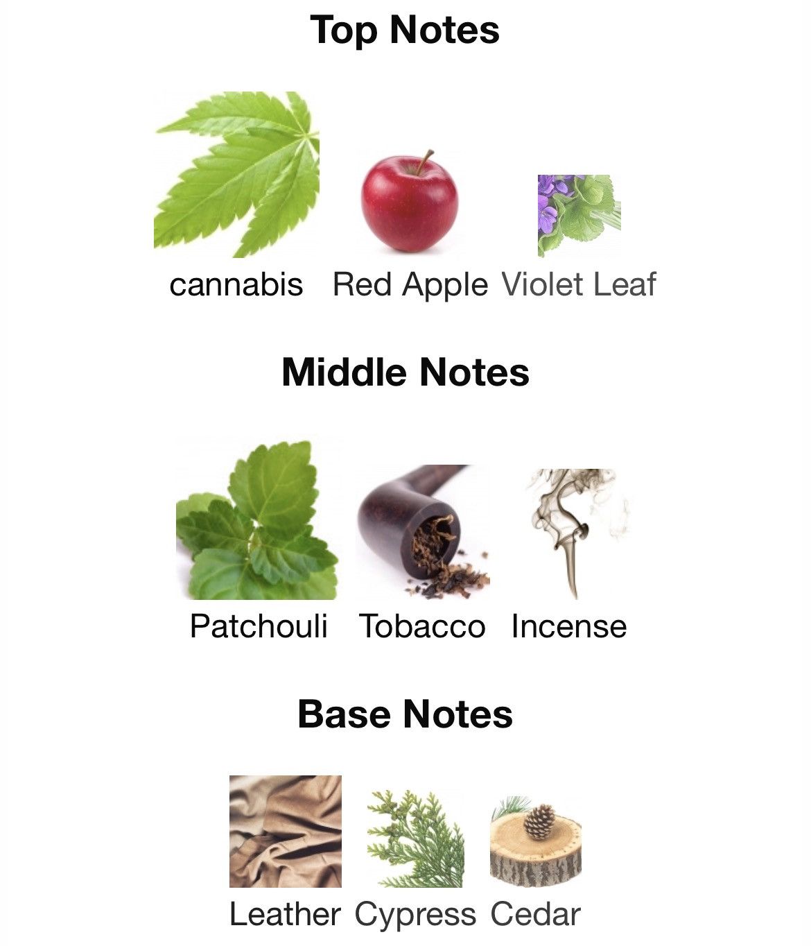 Maison Margiela Maison Margiela Music Festival Cannabis Cologne - 5ml ...