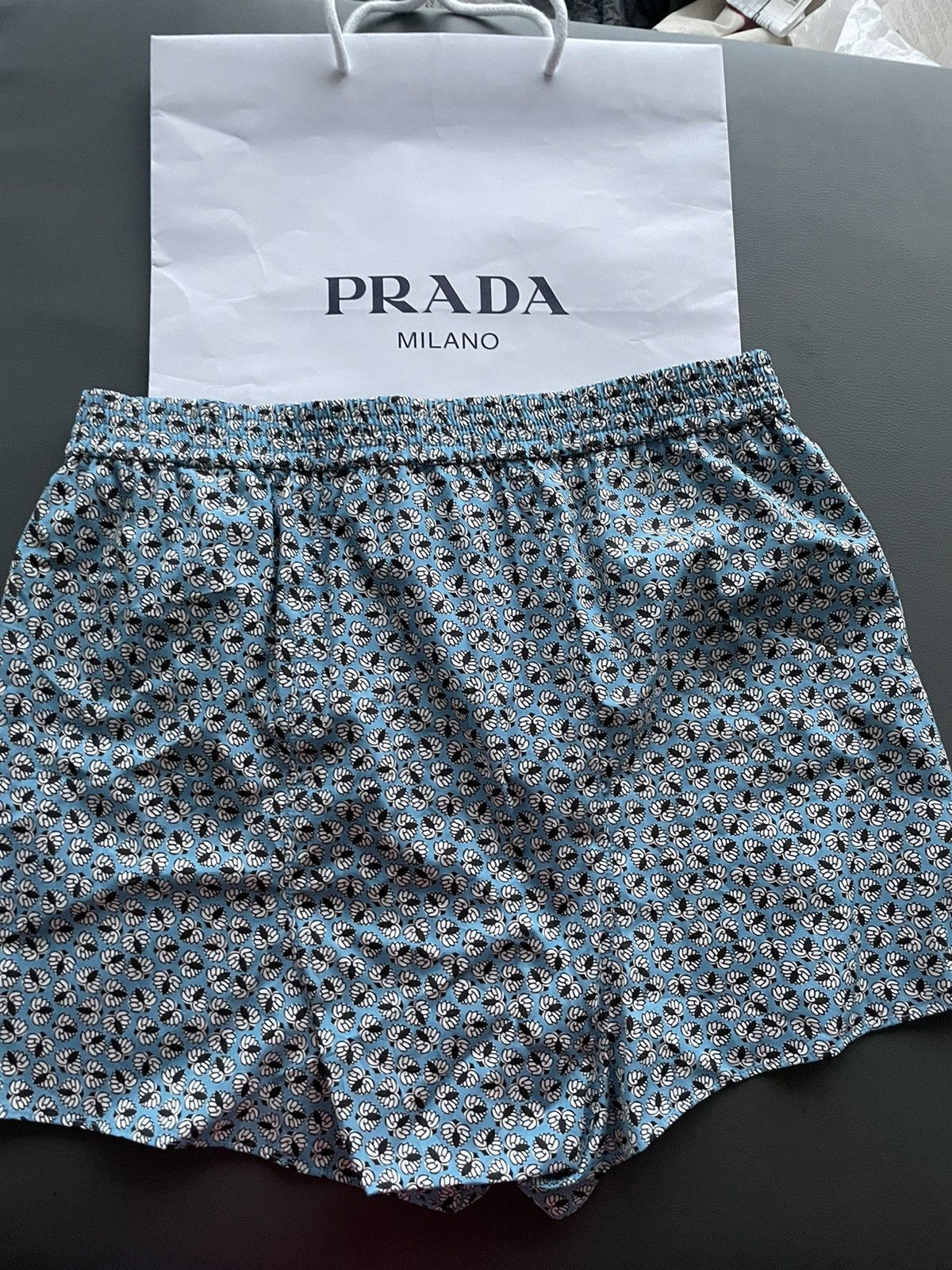 Prada Super Runway Limited Edition Prada Short Trunks Brand New | Grailed