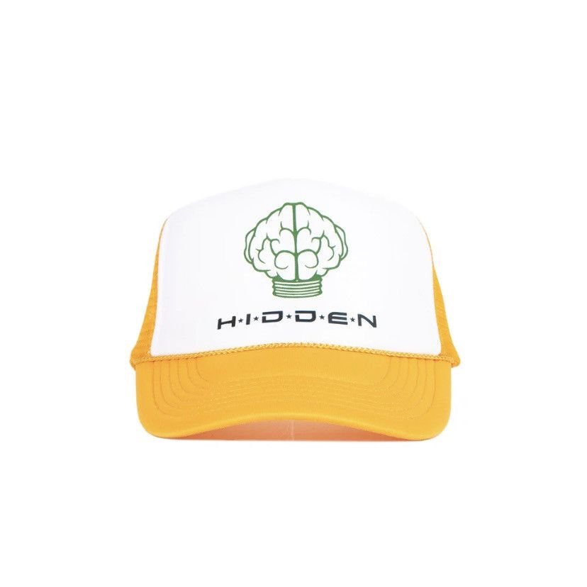 HIDDEN Hidden PPF x NERD Brain Trucker Hat NY BBC Pharrell Icecream ...