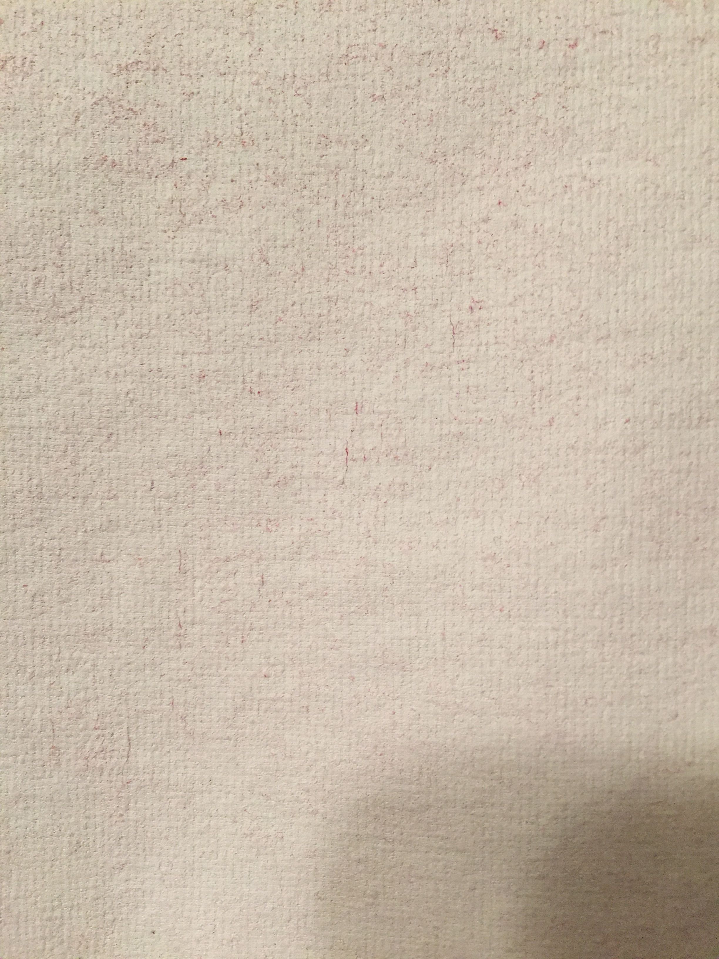 Off-White Champion Wisconsin Off white Tee | Grailed