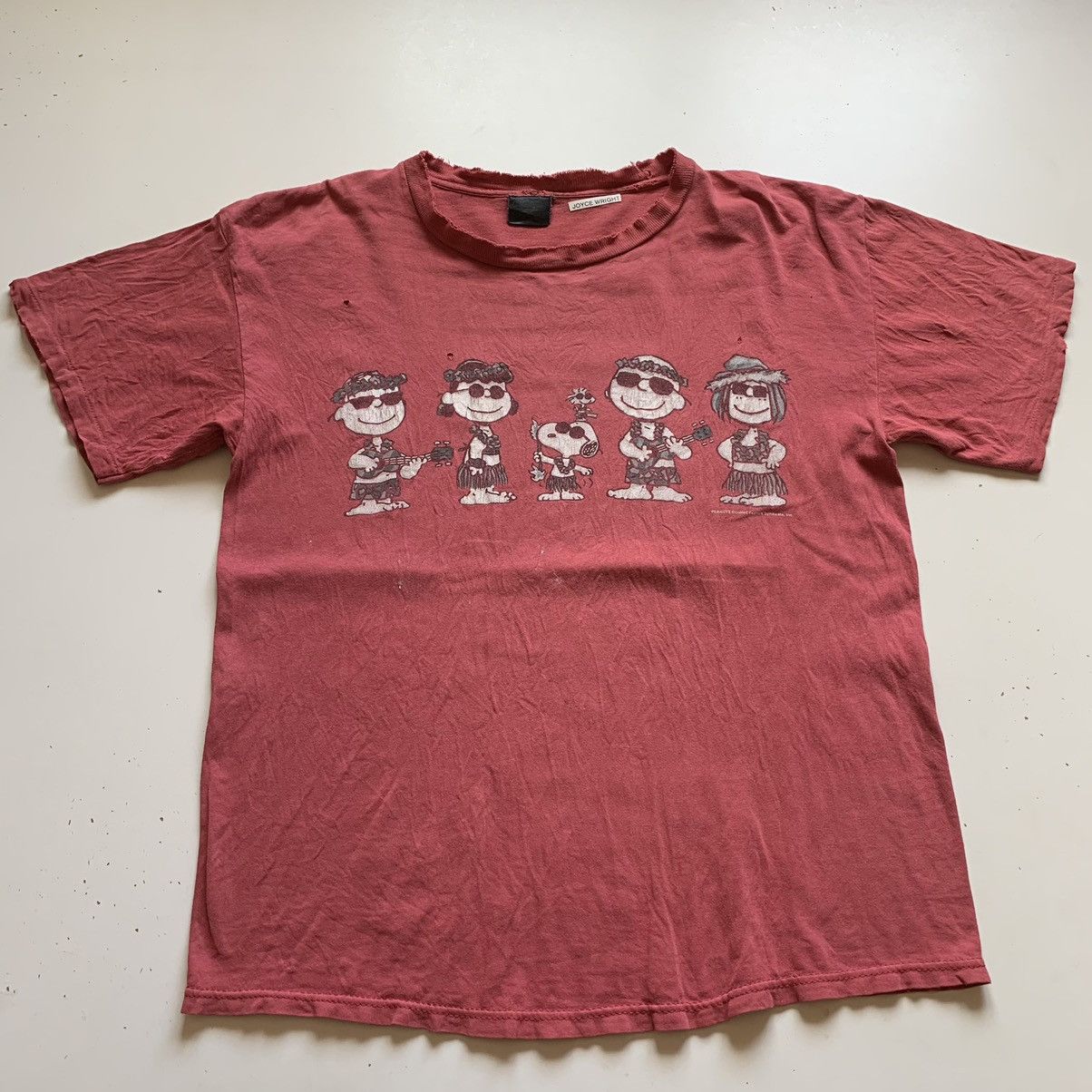 Peanuts × Vintage Vintage 90s The Peanuts cartoon tv show graphic t ...