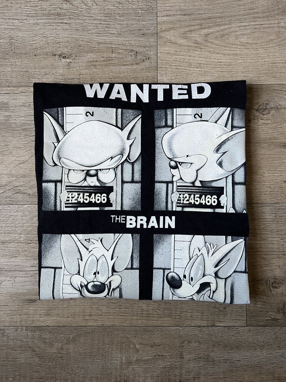 Vintage Vintage 1998 pinky and the brain jail photo shirt | Grailed