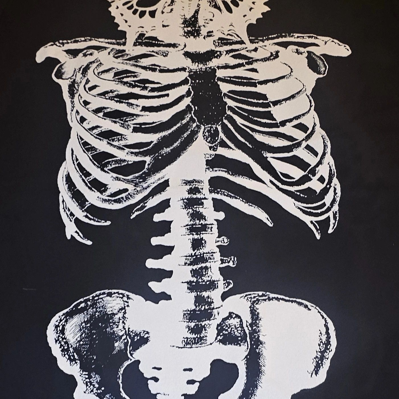 Playboi Carti Playboi Carti AWGE Butterfly Skeleton 2017 Tour Merch Tee ...