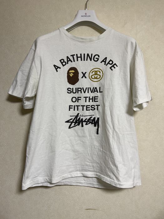 Bape 2010 OG Bape Stussy Collab Survival of the fittest Tee | Grailed