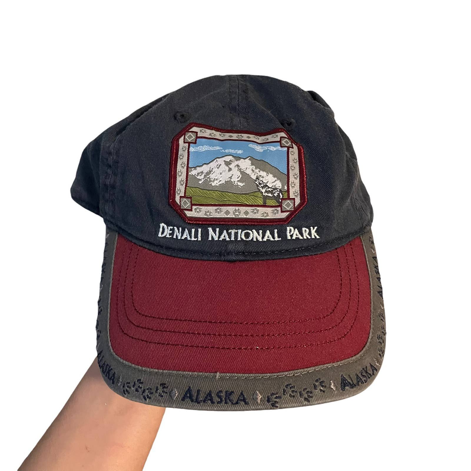 Vintage Denali national park hat | Grailed