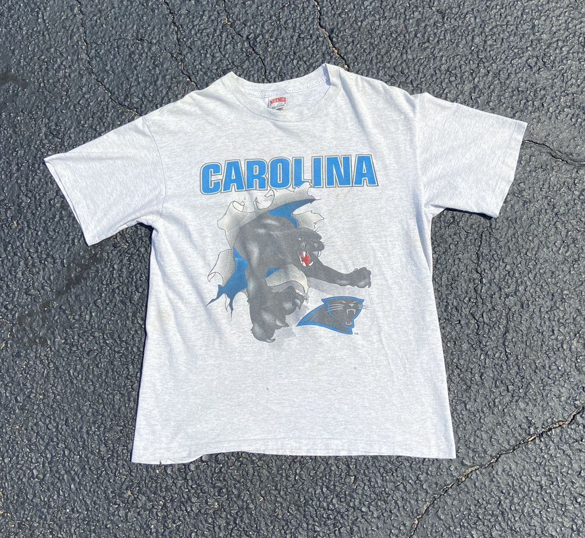 NFL × Nutmeg Mills × Vintage 993 Nutmeg mills Carolina Panthers mascot ...