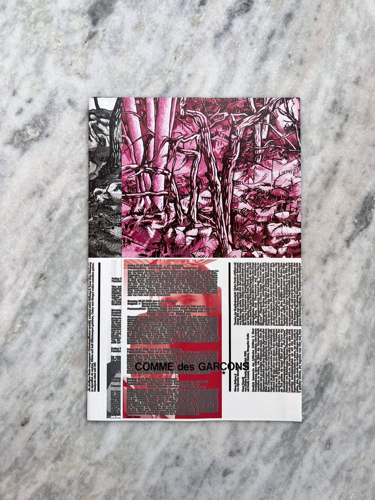 Comme des Garcons Comme Des Garcons Spring Summer 2022 Magazine Poster ...