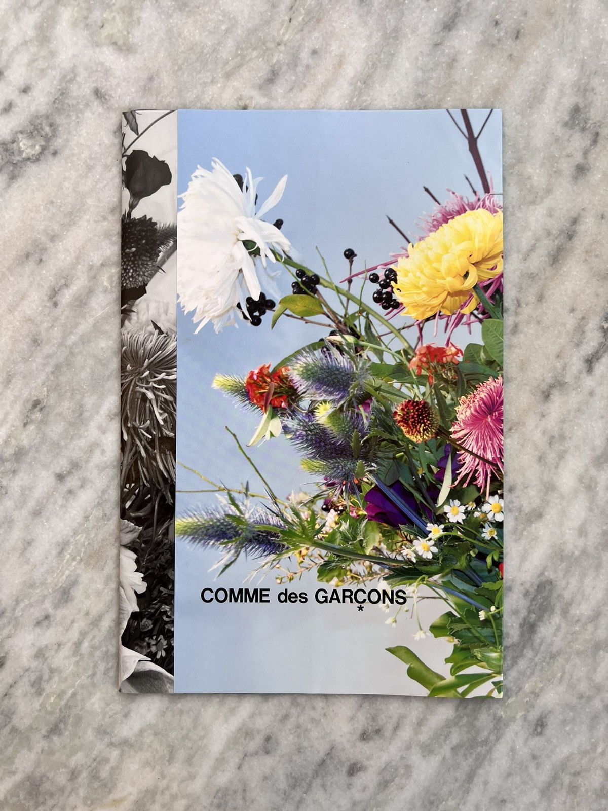 Comme des Garcons Comme Des Garcons Autumn Winter 2022 Magazine Poster ...