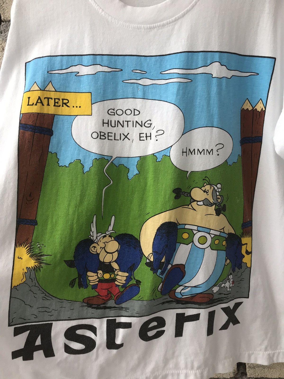 Cartoon Network × Comics × Rare The Adventure Of Asterix and Obelix ...