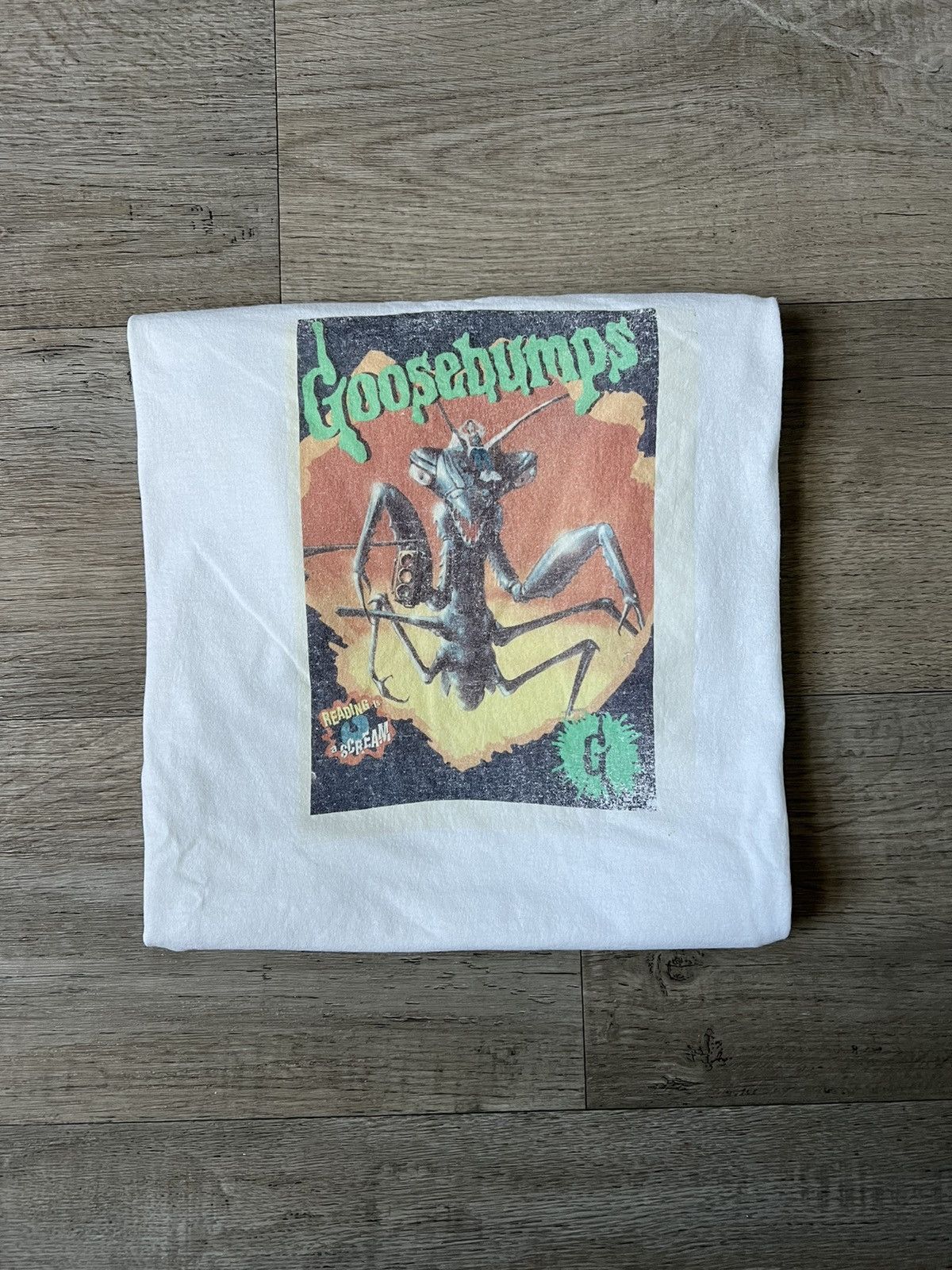 Nickelodeon × Vintage Vintage goosebumps reading is a scream book promo ...