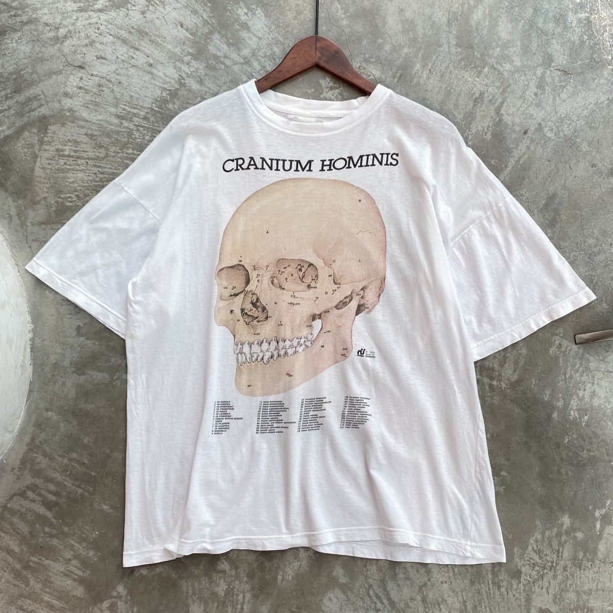 Vintage Vintage 90s Skull Anatomy “Cranium Hominis” Tee 1992 | Grailed