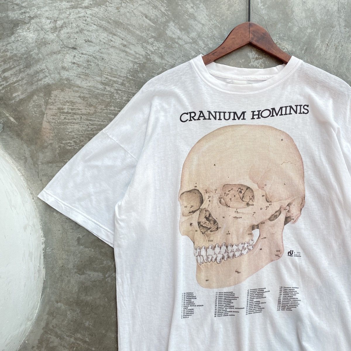Vintage Vintage 90s Skull Anatomy “Cranium Hominis” Tee 1992 | Grailed