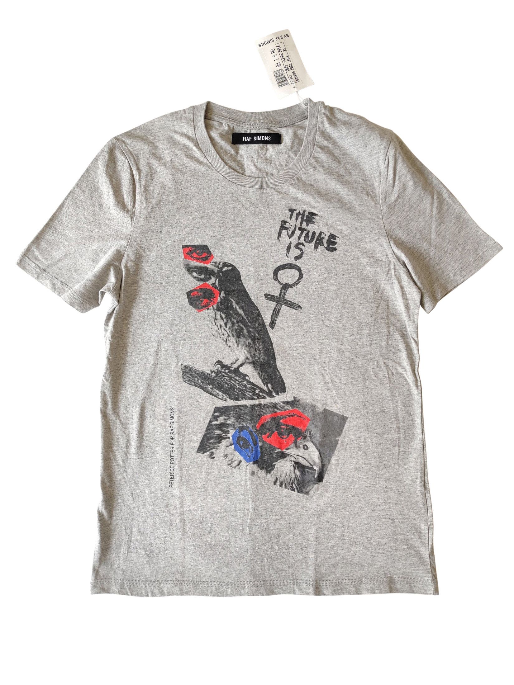 Raf Simons ⚡️QUICK SALE⚡️Raf Simons Peter de Potter Grey Tshirt | Grailed