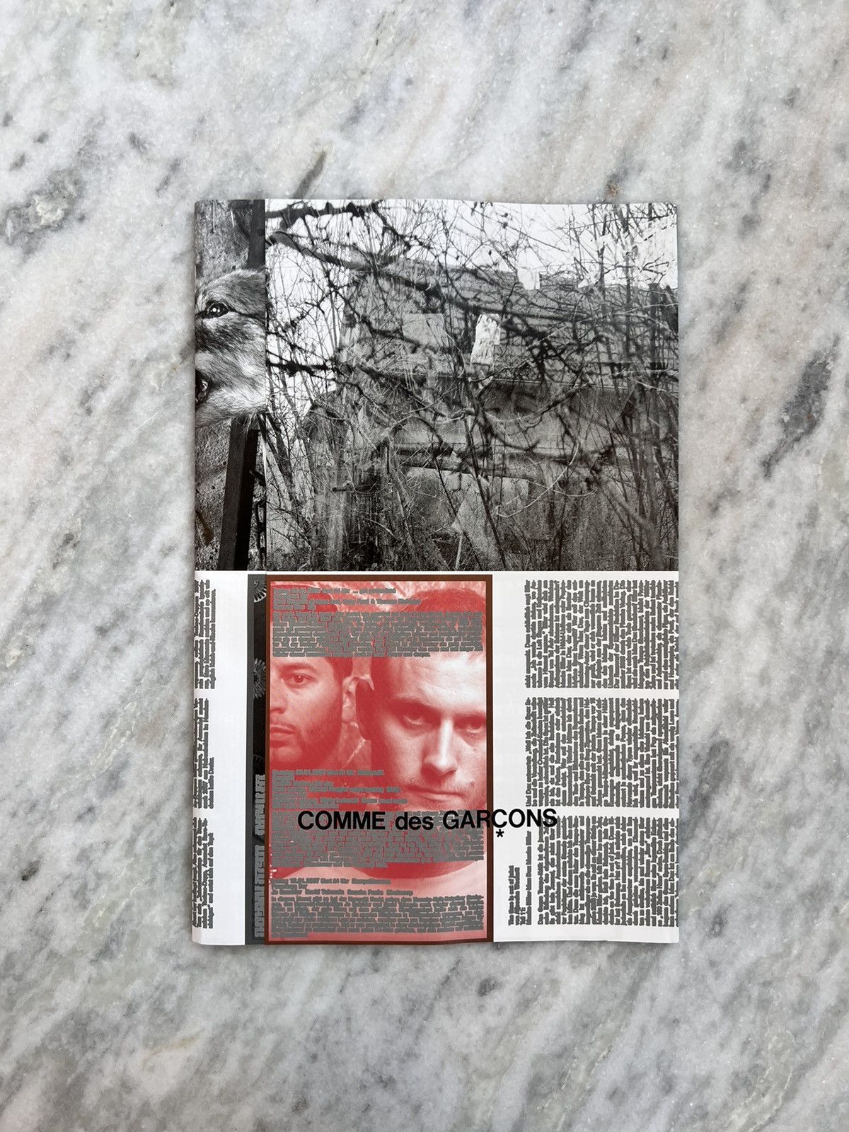 Comme des Garcons Comme Des Garcons Summer 2022 Magazine Poster Book ...