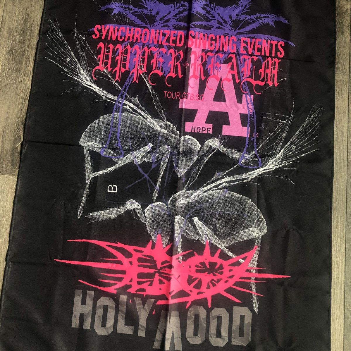 Drain Gang × Sad Boys × Yung Lean Drain Gang Upper Realm World Tour ...