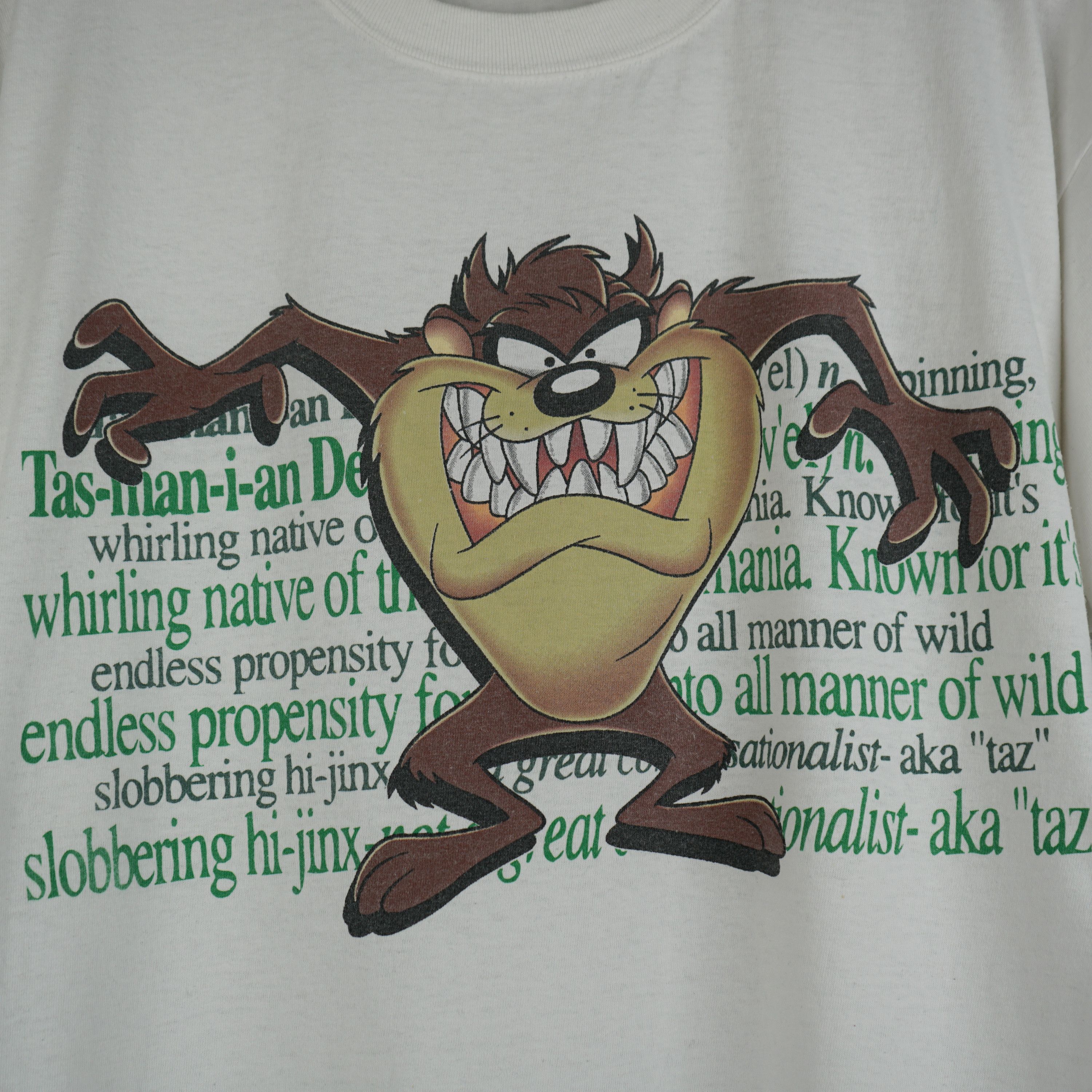 Vintage 1990s Tasmanian Devil TAZ t-shirt | Grailed