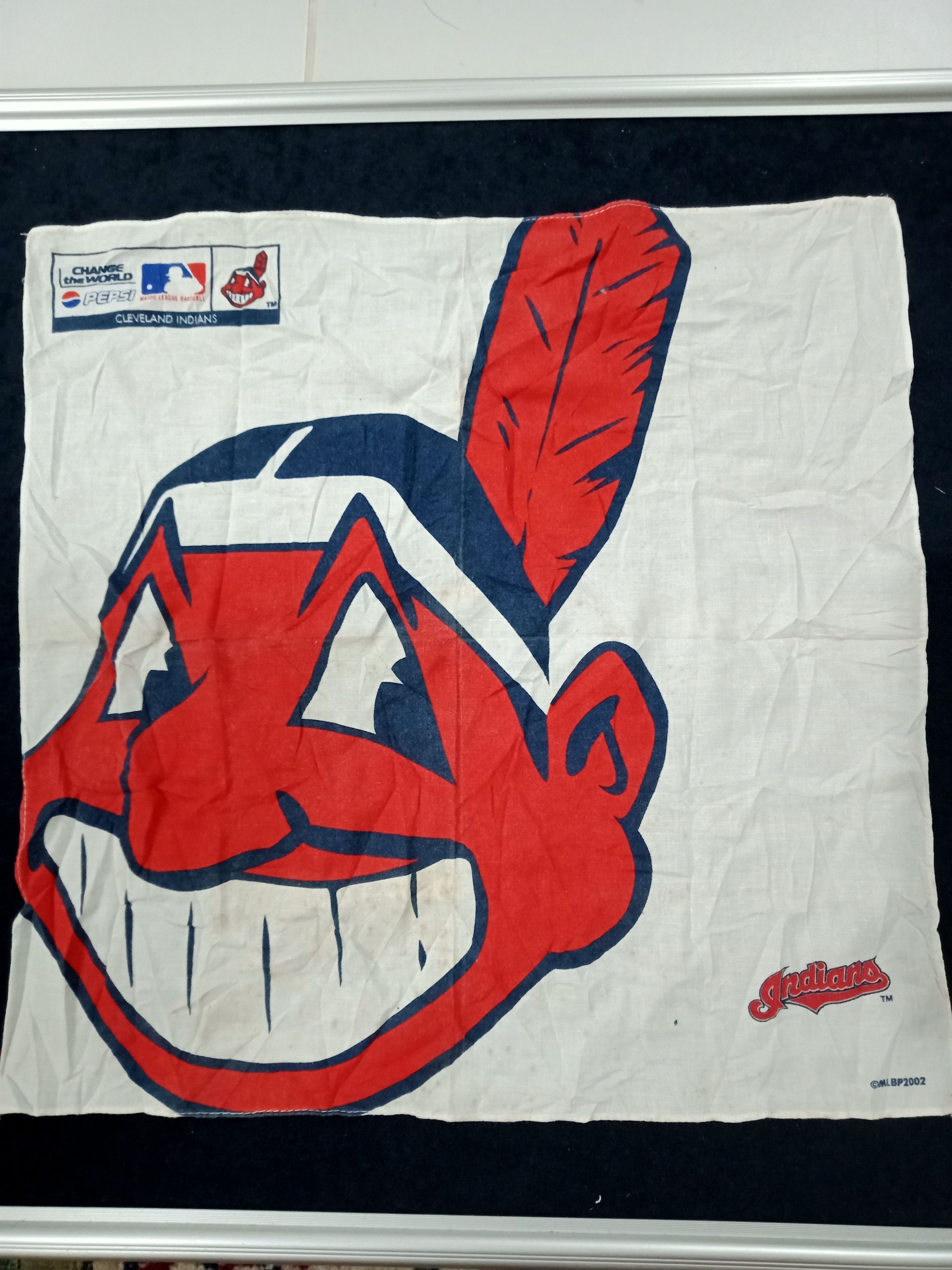 Vintage 🔥RARE🔥VINTAGE 2002 MLB INDIANS X PEPSI MAJOR BASEBALL | Grailed