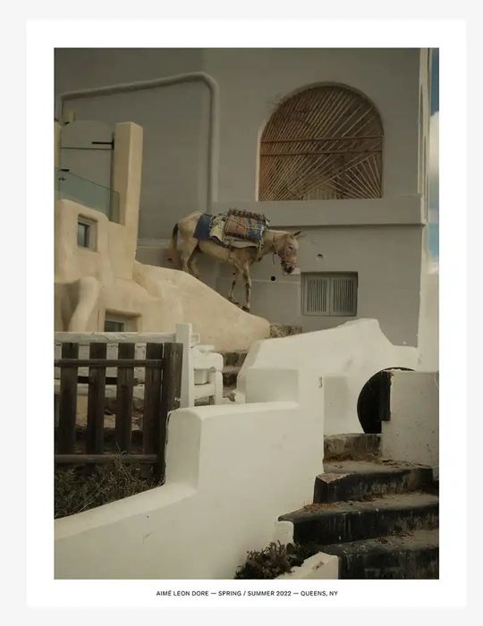 Aime Leon Dore Aimé Leon Dore Donkey in Greece Poster | Grailed