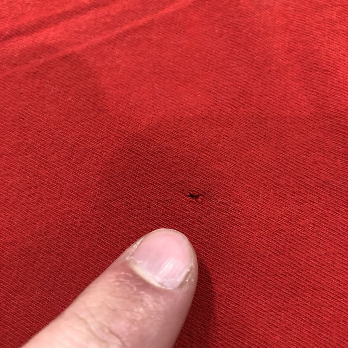 Tommy Hilfiger Cursive Logo Spell Out Tee Shirt (See Pics) | Grailed