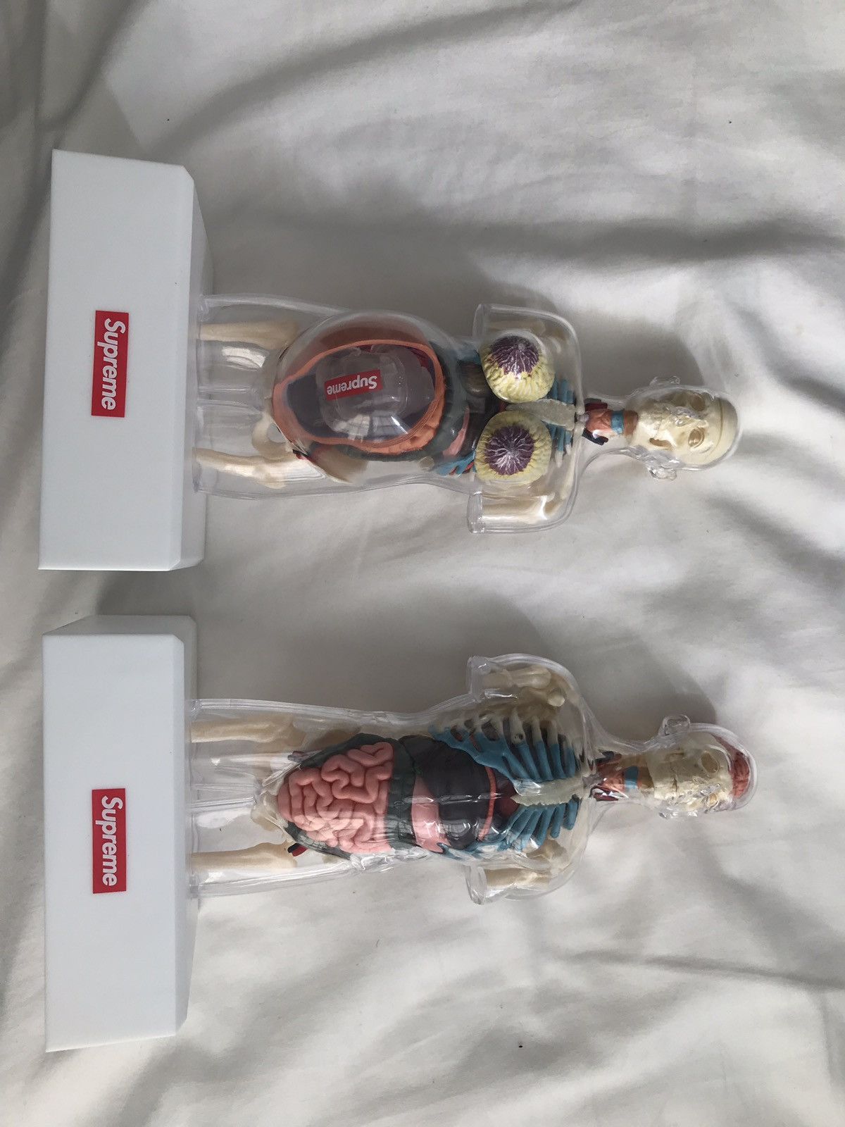 Supreme Supreme Anatomy Figures | Grailed