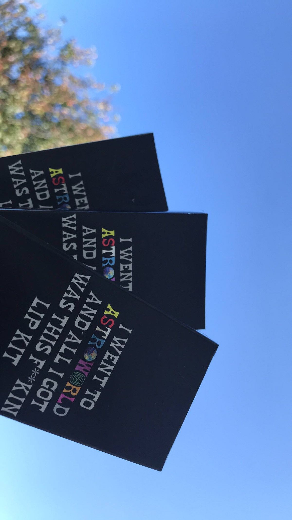 Travis Scott Astroworld Lip Kit | Grailed