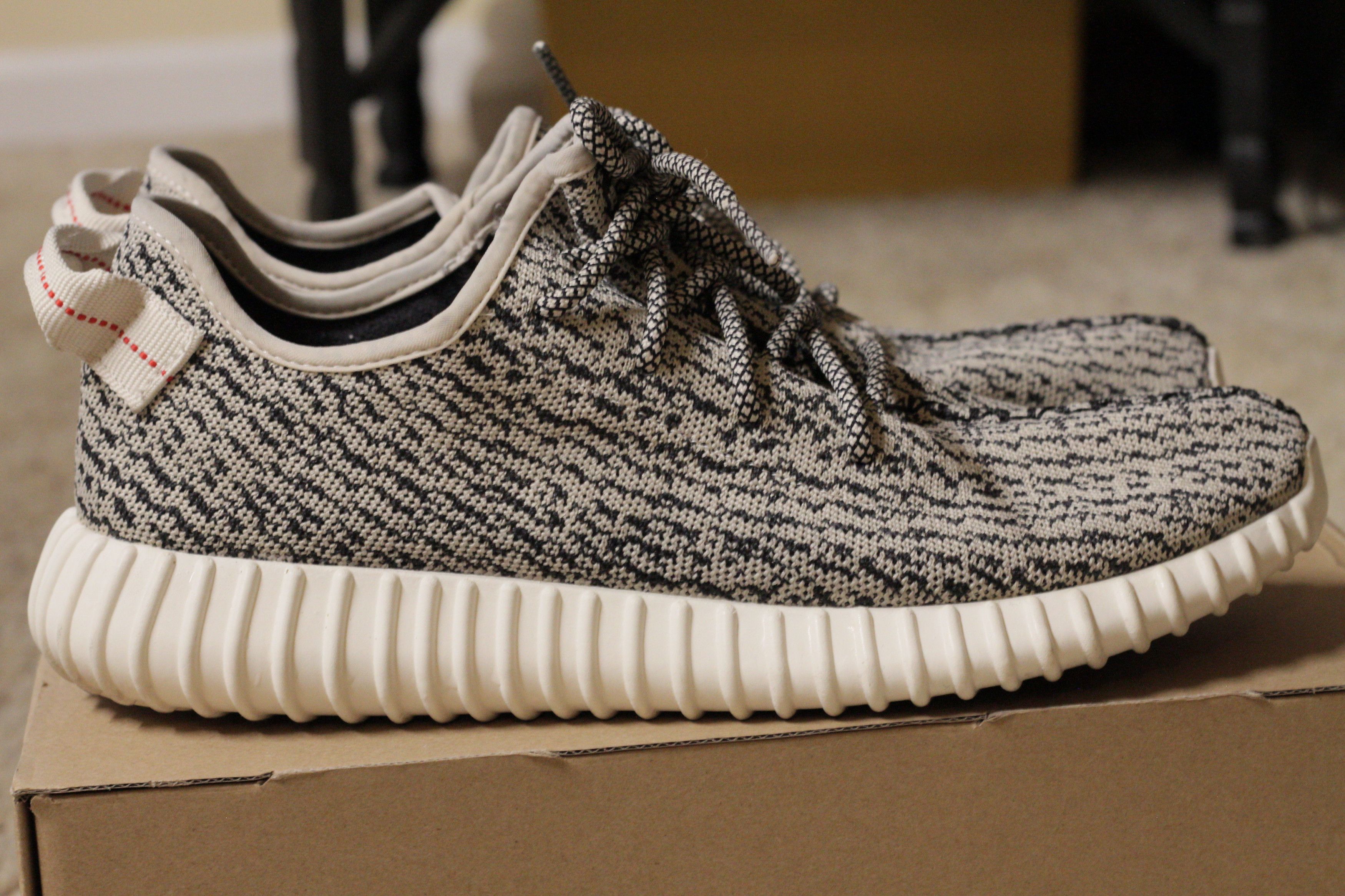 Adidas Turtle Dove | Grailed