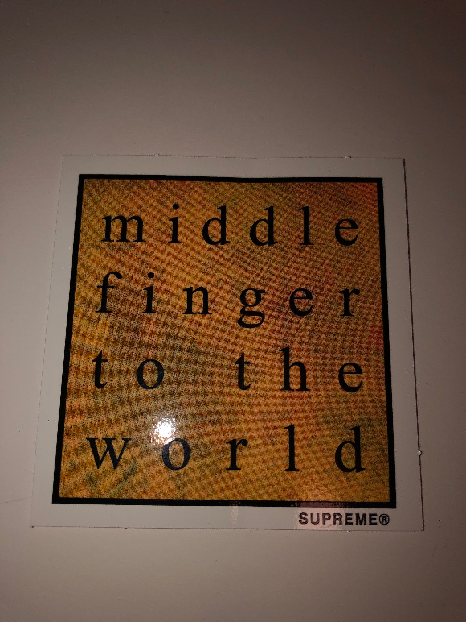 Supreme Supreme Middle Finger to the World Sticker IN HAND READY TO ...