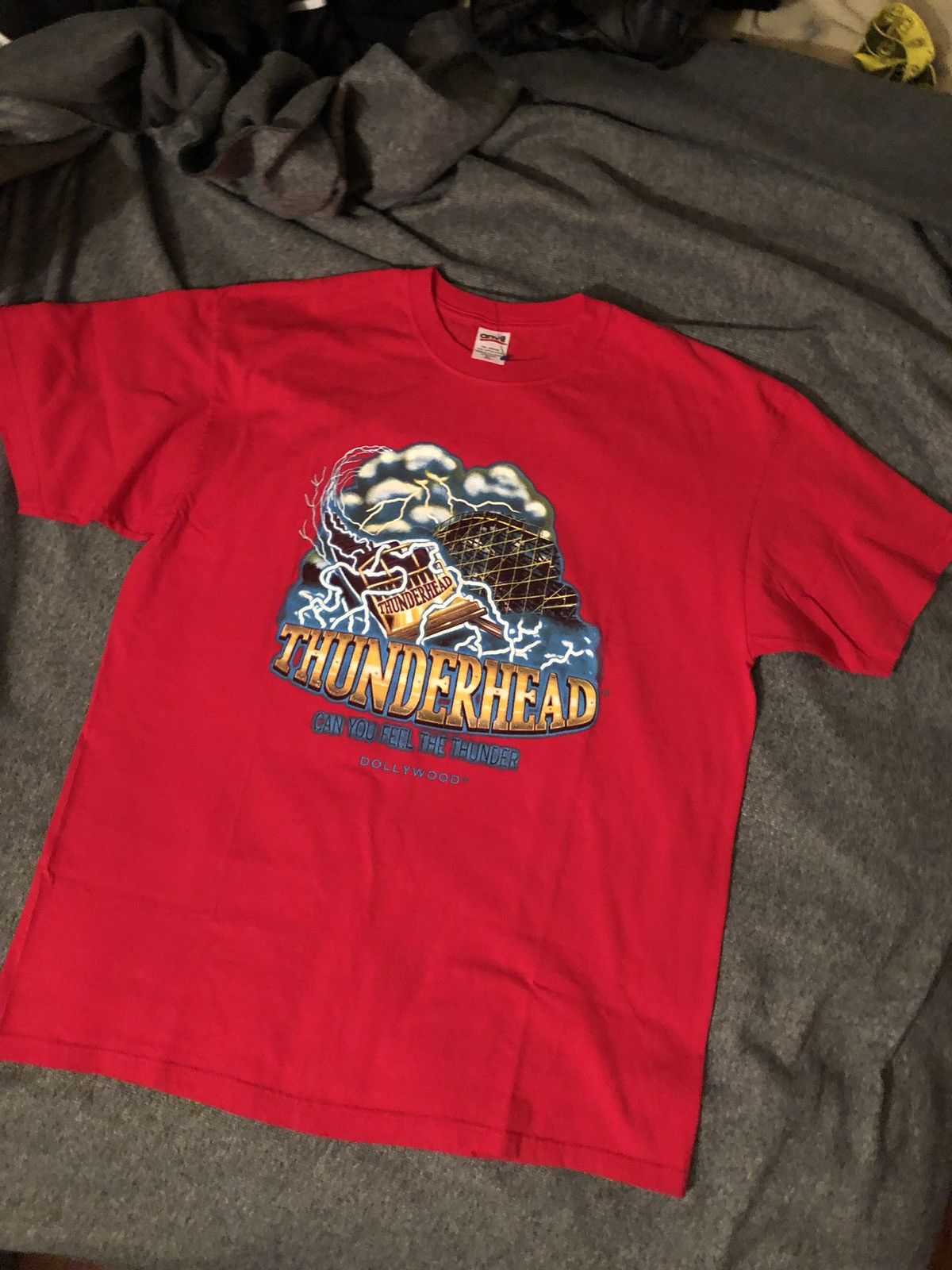 Anvil × Vintage Dollywood Thunderhead Roller Coaster Tee Shirt | Grailed
