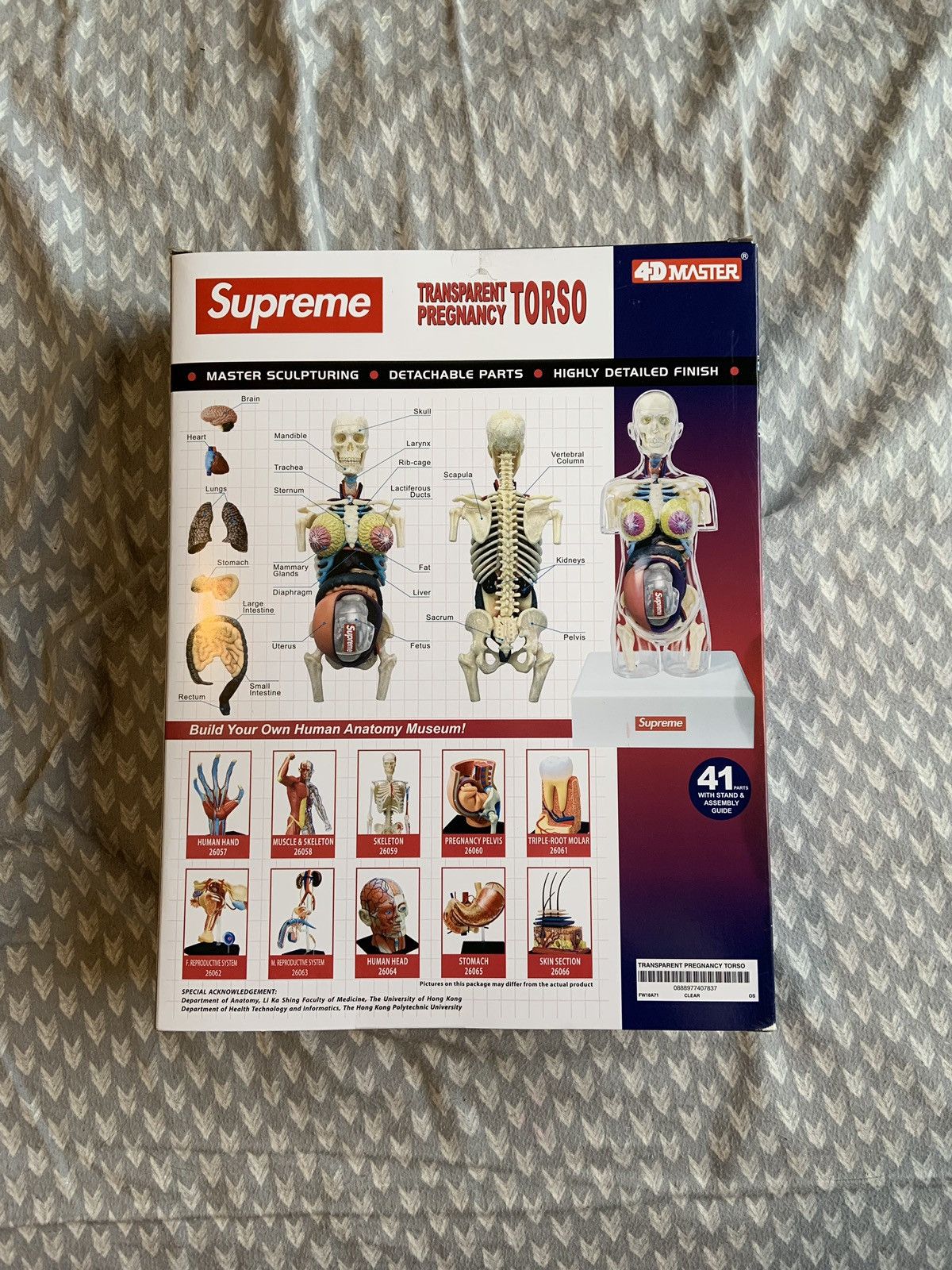 Supreme Anatomy model | Grailed