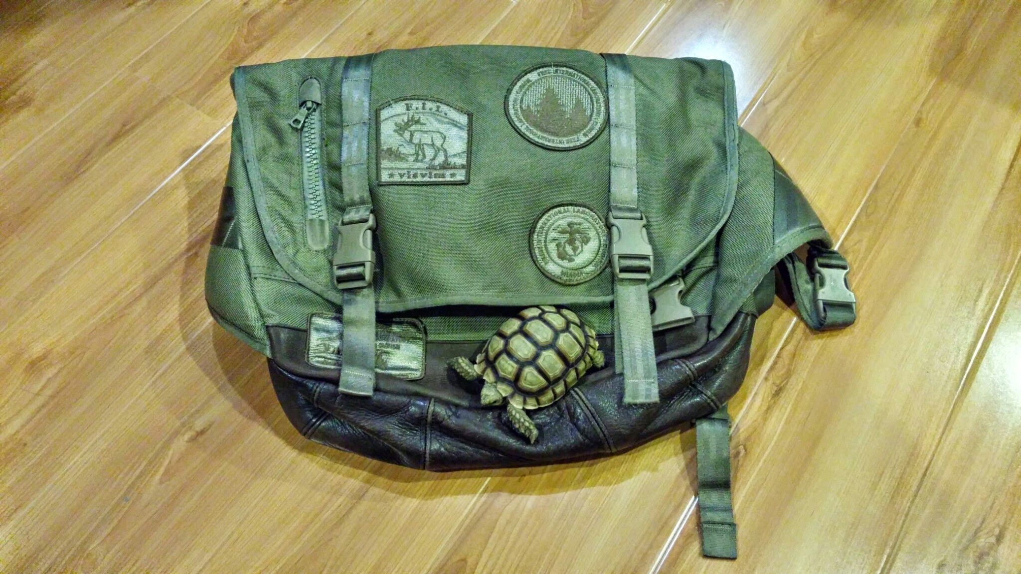 Visvim Visvim 18L E-Cat Messenger Bag | Grailed