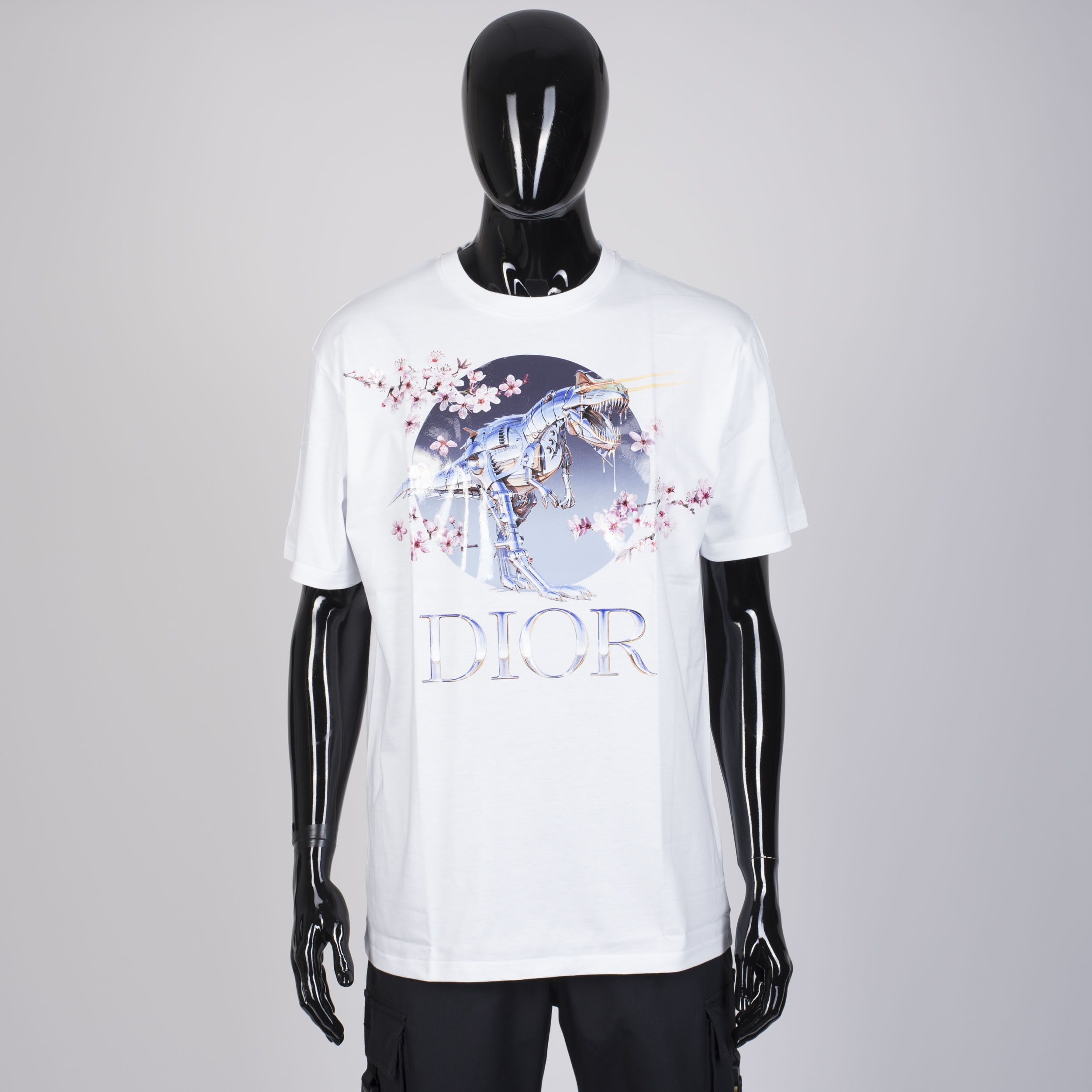 Dior DIOR x SORAYAMA Dinosaur & Logo Print Tshirt In White Cotton ...