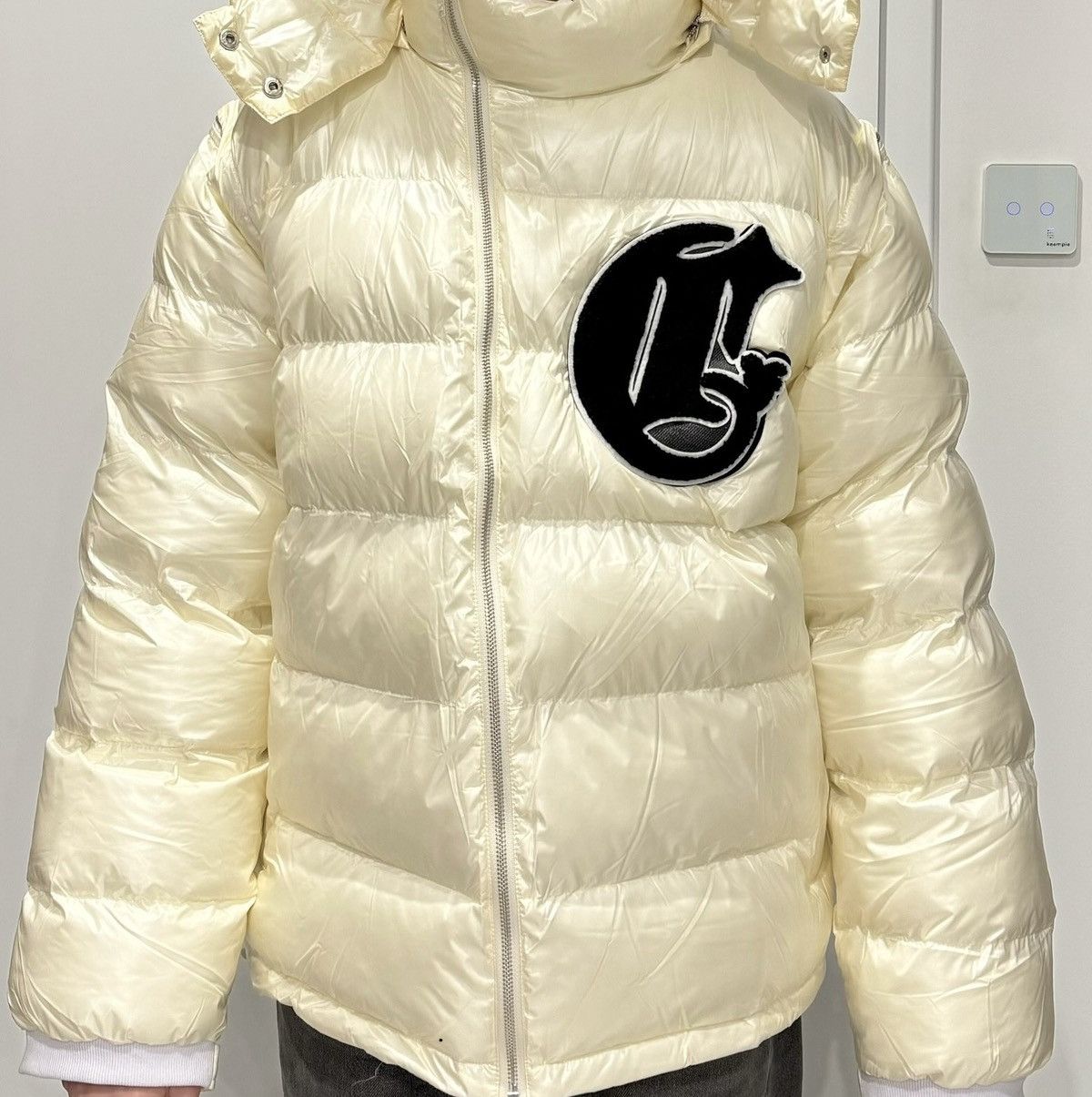 Designer × Streetwear Corvidae shiny white puffer V2 | Grailed