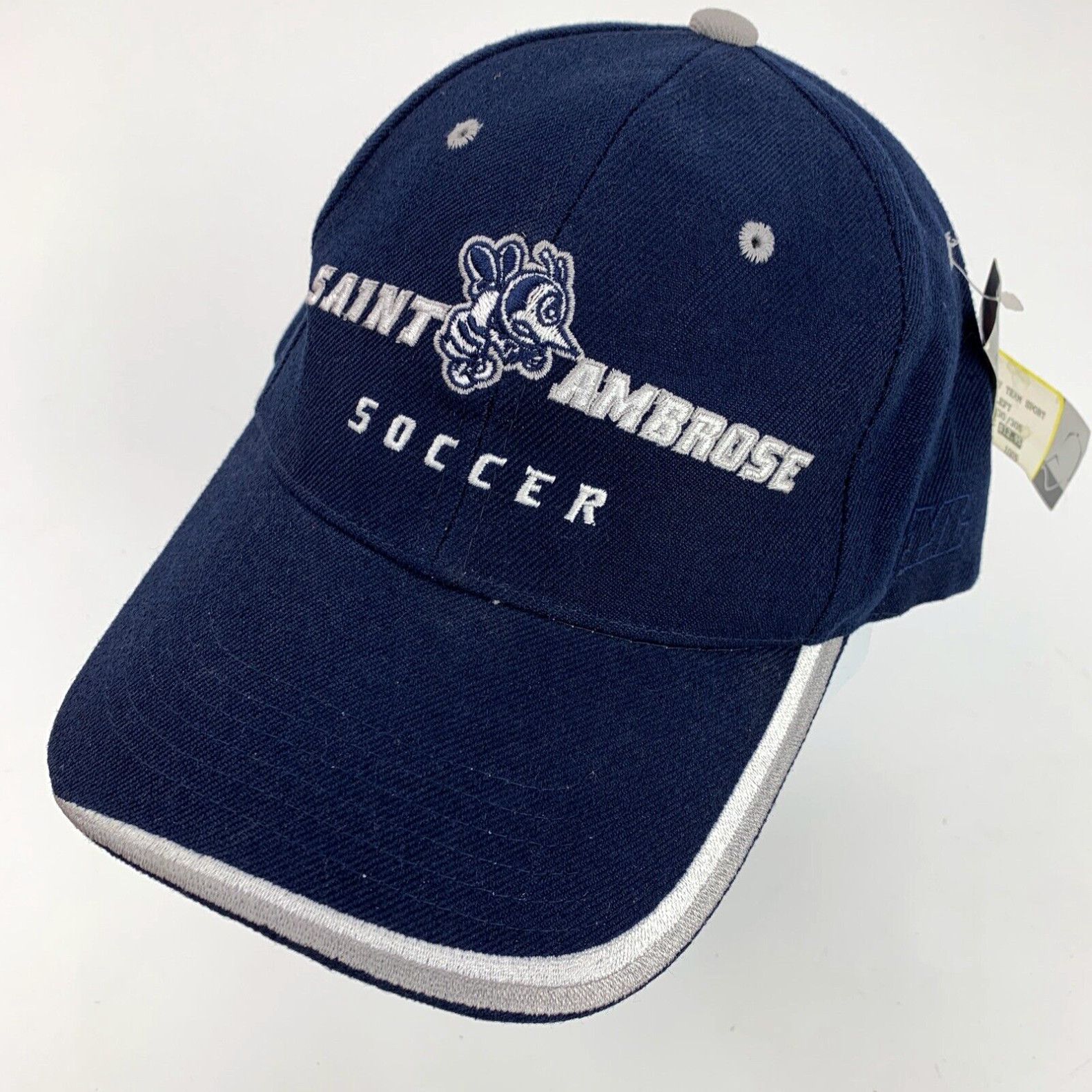 Bally Saint Ambrose Soccer Stinging Bees Ball Cap Hat Adjustable ...