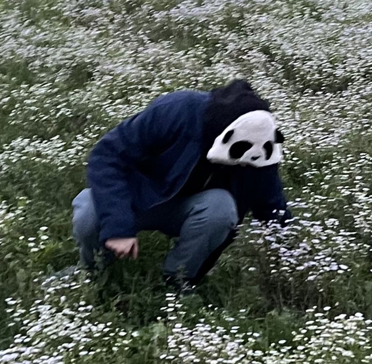 Japanese Brand × Vintage Panda Face Ski Mask | Grailed