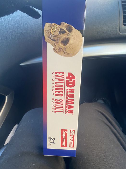 Supreme Supreme 4D Model Human Skull | Grailed