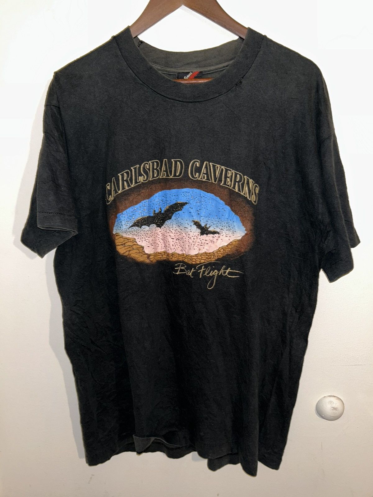 Vintage Single-Stitch Carlsbad Caverns National Park | Grailed
