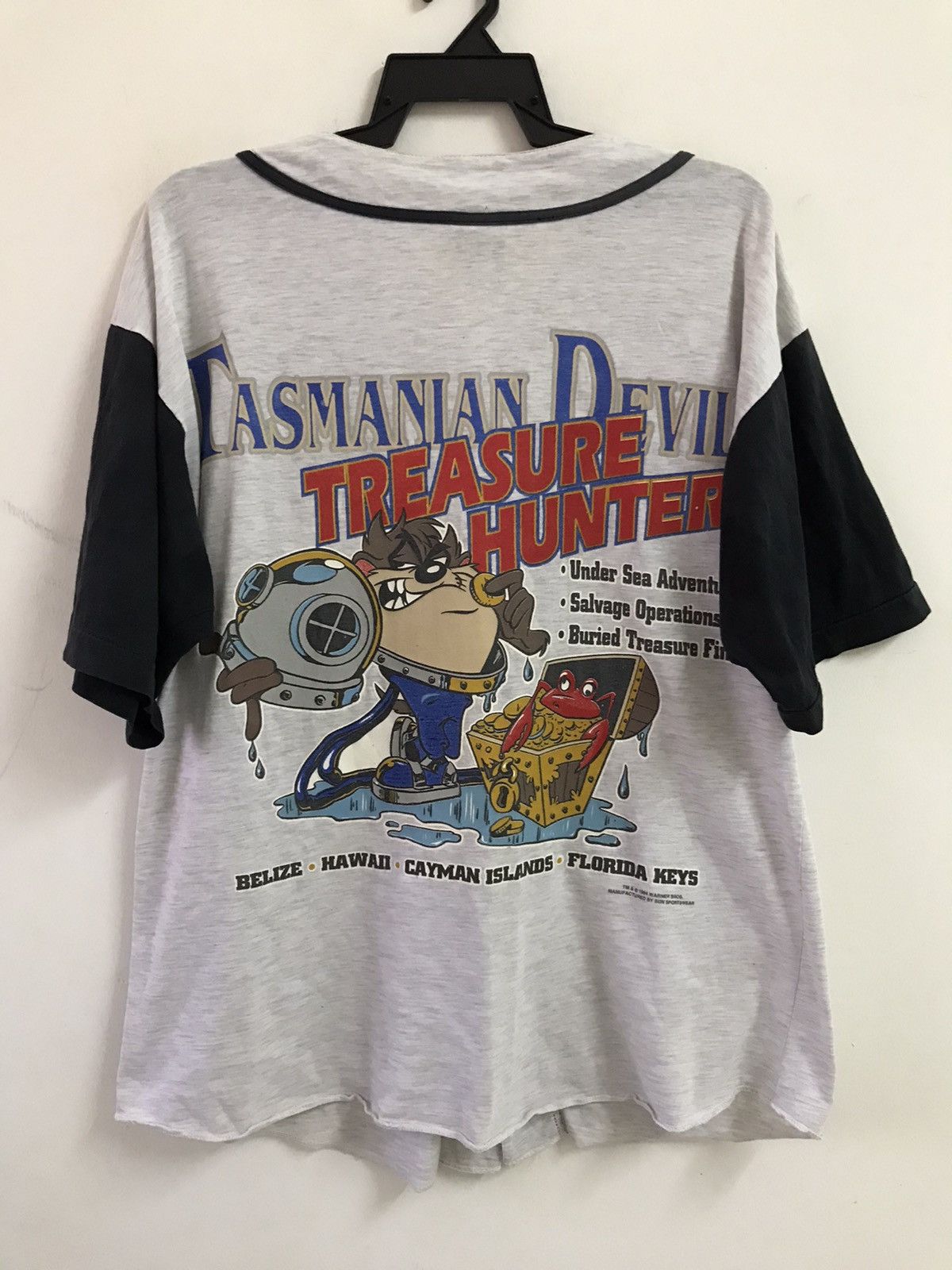 Vintage Vintage 1994 Tasmanian Devil Baseball Shirt Size Large | Grailed
