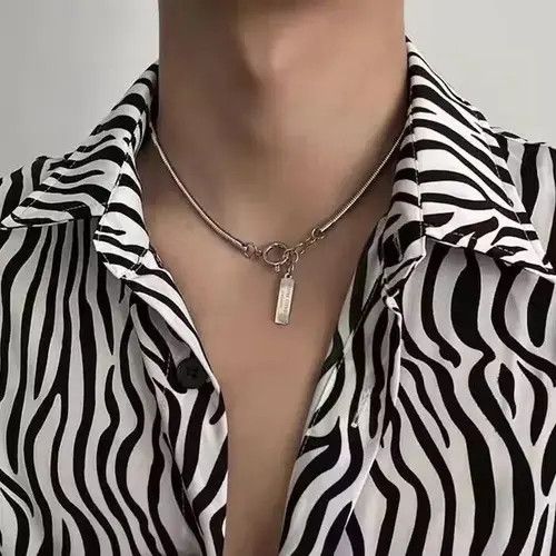 Chain × Jewelry × Streetwear Chrome Tag Silver Goth Snake Chain God ...