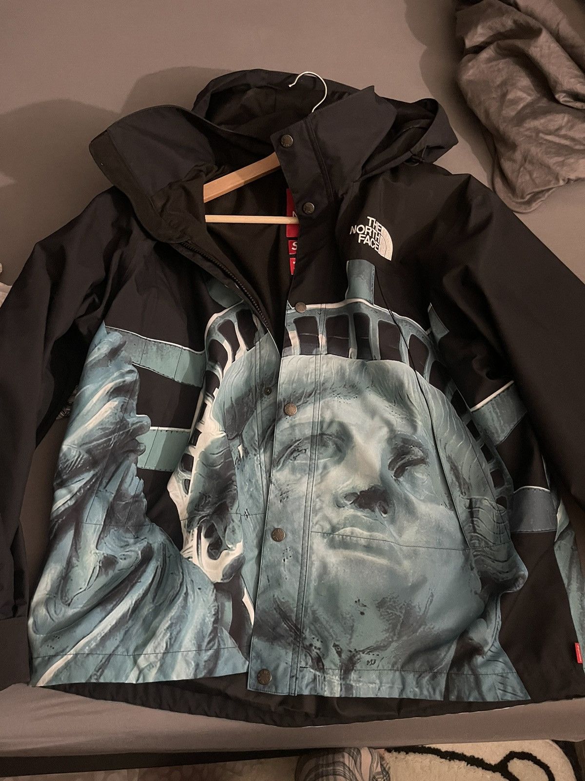 Supreme Statue of Liberty mountain jacket | Grailed