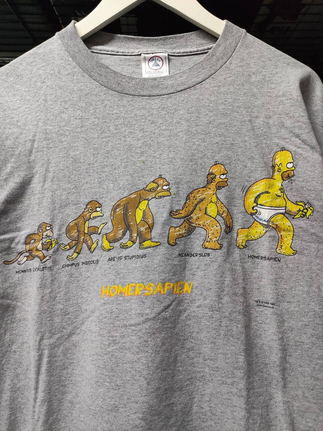 Vintage Vtg 2000's Fox The Simpsons "HOMERSAPIEN" T-Shirt | Grailed