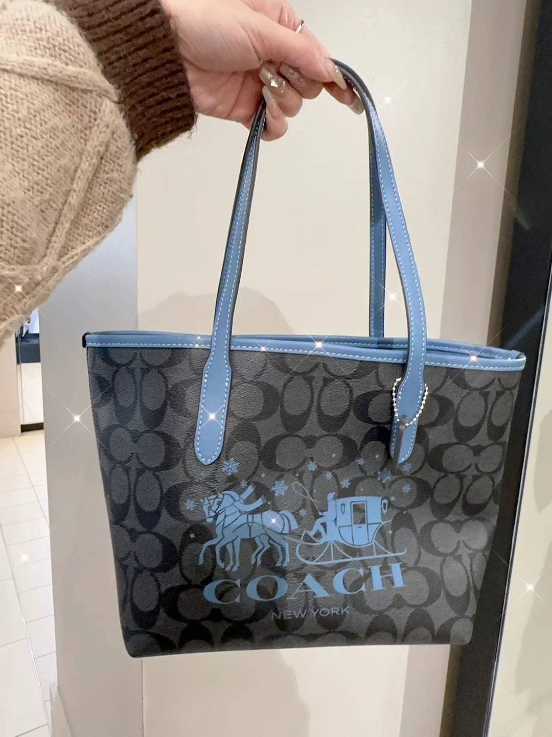 Coach Mini City Tote In Signature Canvas With Horse And Sleigh | Grailed