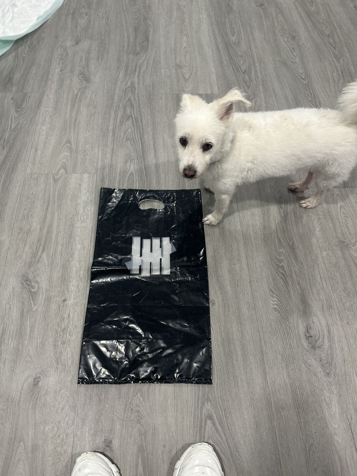 Undefeated × Vintage undefeated merchandise bag | Grailed