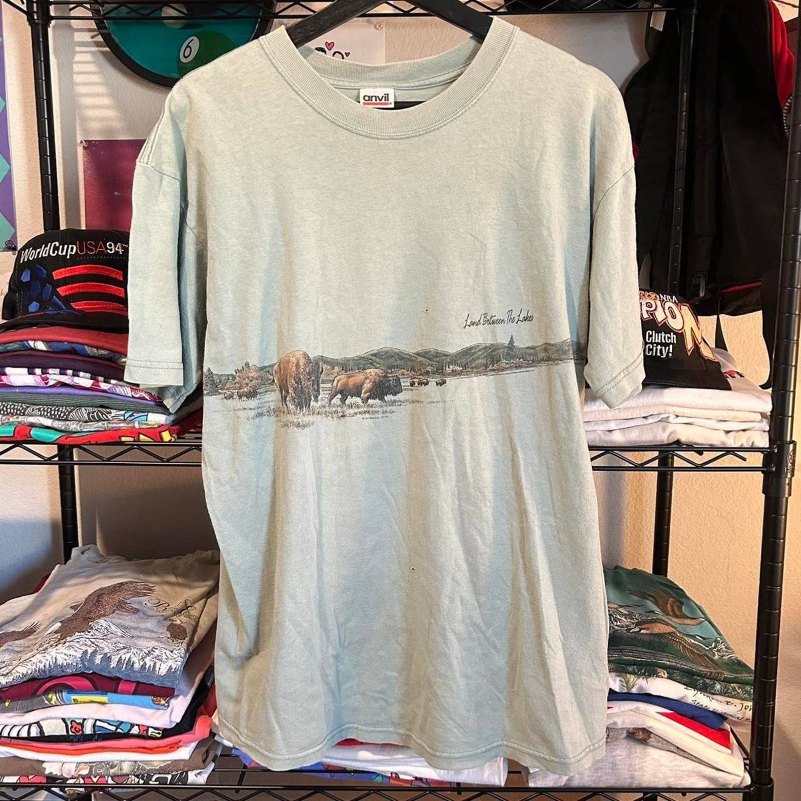 Anvil Vintage 1990s buffalo nature destination | Grailed