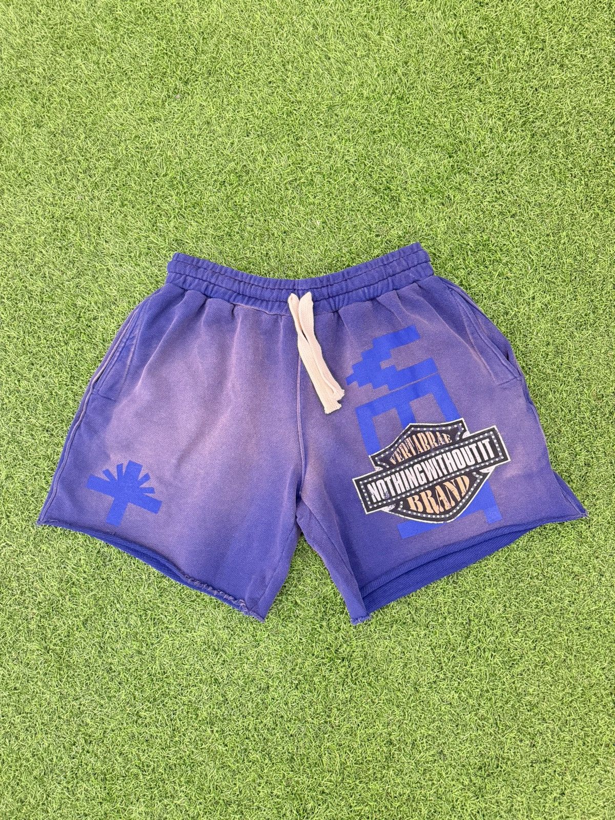 Vertabrae Blue Vertabrae Double Emblem Shorts | Grailed