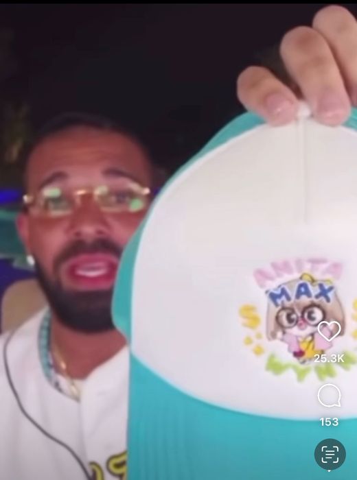 Drake ORIGINAL DRAKE ANITA MAX WYNN HAT | Grailed